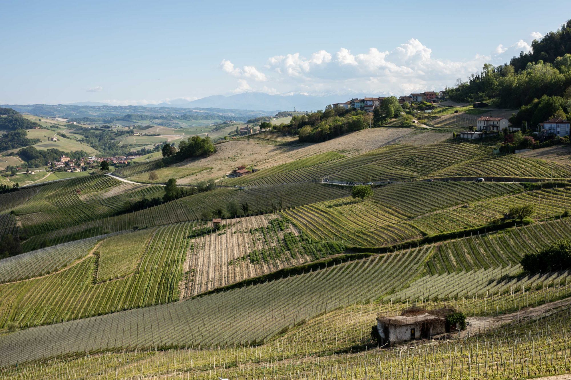 Miroglio Group - Miroglio Group